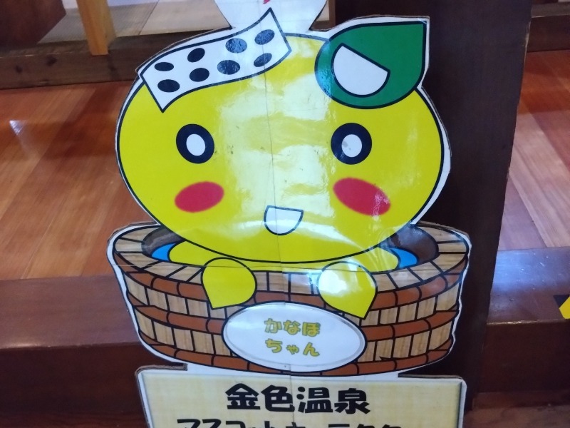 全国のサウナのサ活（サウナ記録・口コミ感想）一覧 - サウナイキタイ