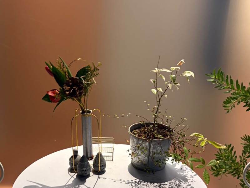 sauna&bath NiHITARU[江東区]のサ活（サウナ記録・口コミ感想）一覧 - サウナイキタイ