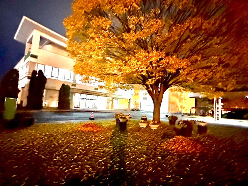 メディカルフィットネス+スパ ラ・ヴィータ[山形市]のサ活（サウナ記録・口コミ感想）一覧 - サウナイキタイ