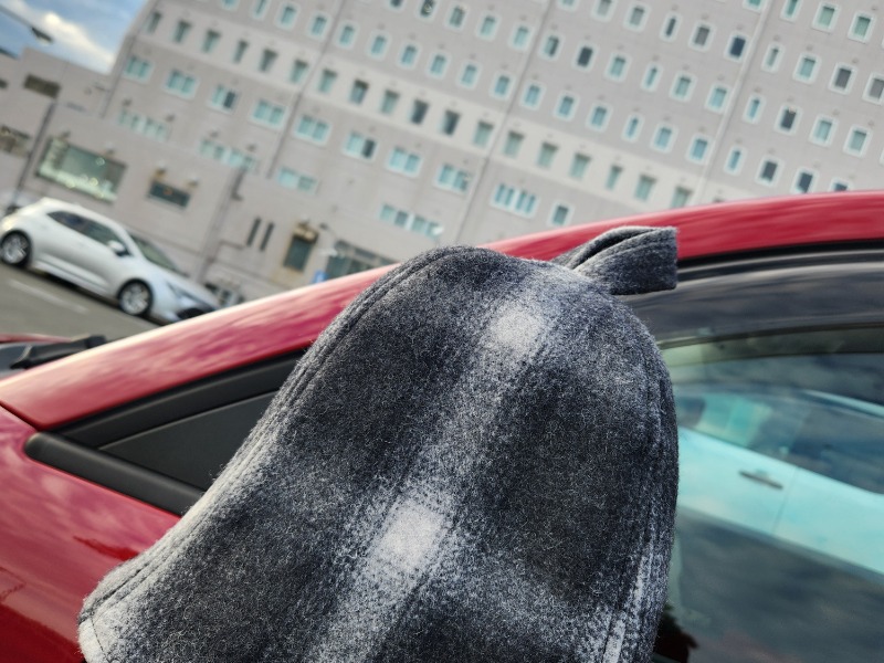 駿河健康ランド[静岡市]のサ活（サウナ記録・口コミ感想）一覧 - サウナイキタイ