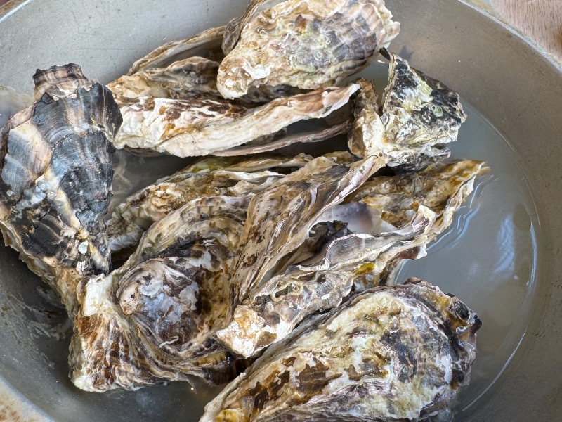 スカイスパYOKOHAMA[横浜市]のサ活（サウナ記録・口コミ感想）一覧 - サウナイキタイ