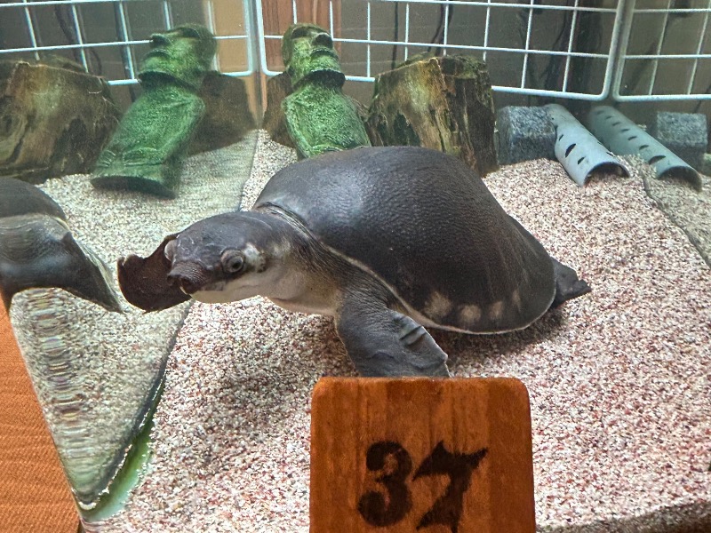 松本湯[中野区]のサ活（サウナ記録・口コミ感想）一覧 - サウナイキタイ