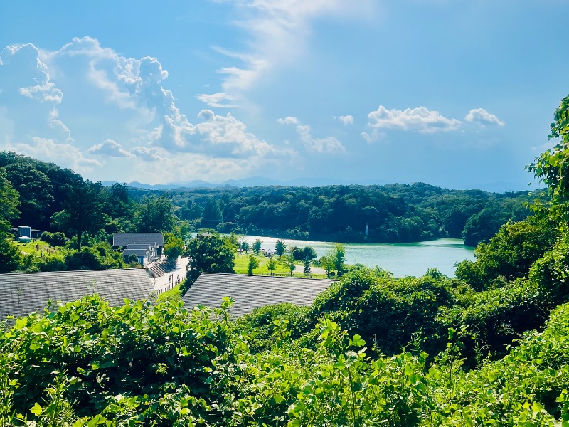 宮沢湖温泉 喜楽里別邸[飯能市]のサ活（サウナ記録・口コミ感想）一覧 - サウナイキタイ