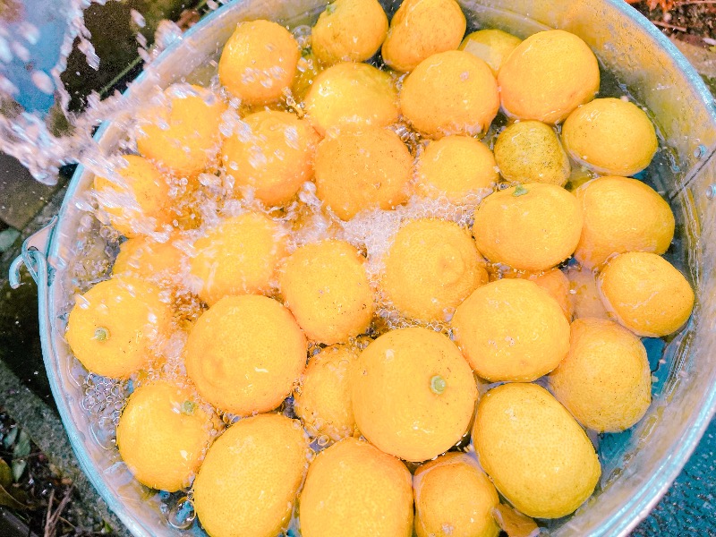 ひばり温泉[須賀川市]のサ活（サウナ記録・口コミ感想）一覧 - サウナイキタイ